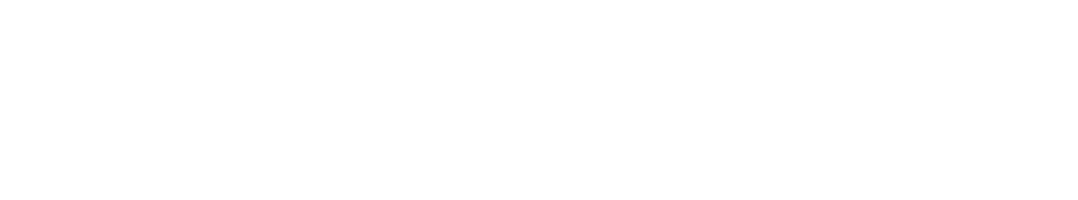 Vida Cámara
